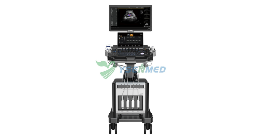 What is the Difference Between 4D Ultrasound and 5D Ultrasound?